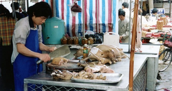 15 Countries Where People Eat Dogs And Cats - Taazakhabar News